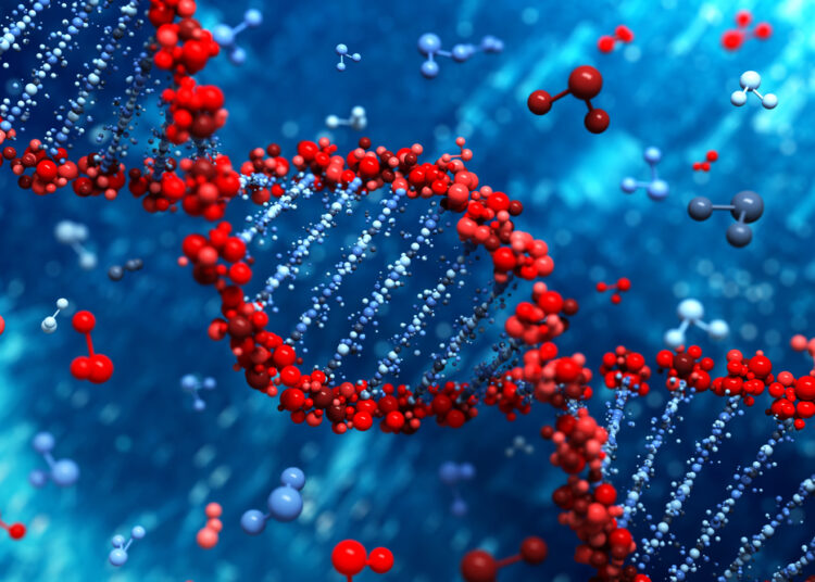 Showbiz - Revista OK MAG